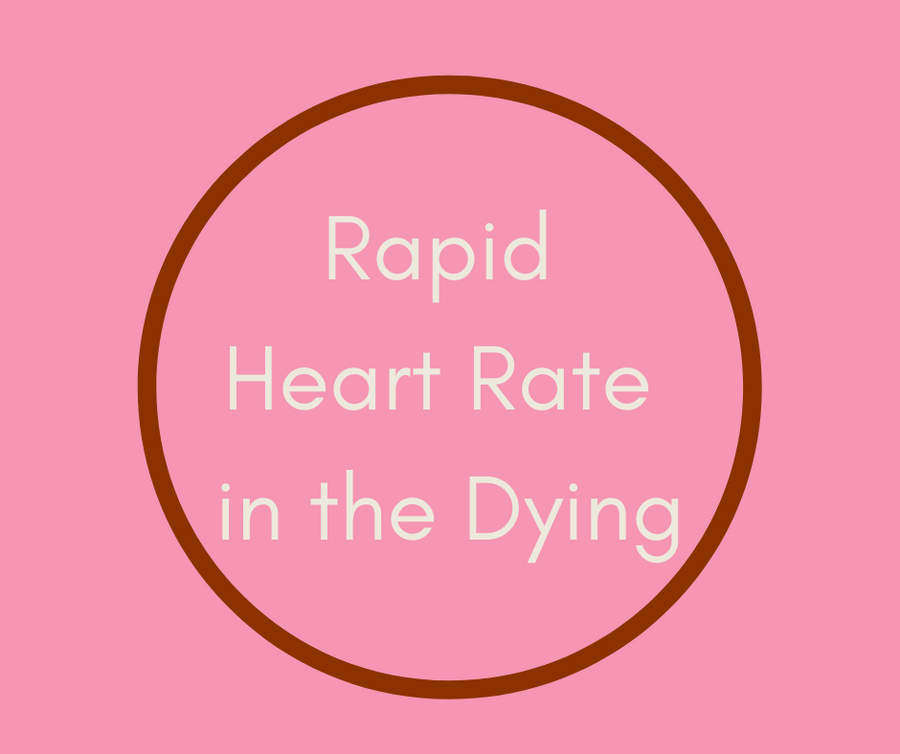 Rapid Heart Rate in the Dying